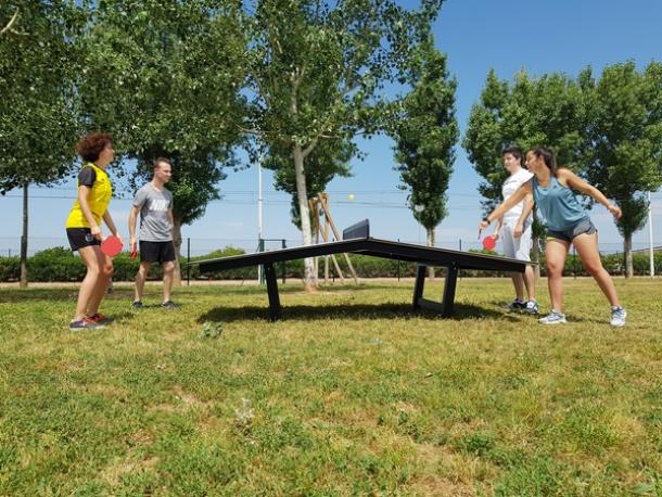 TABLE MULTISPORT - TEQBALL | Acodis, Multisport : TABLE MULTISPORT ...